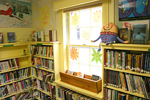 Our Collection – Rochester Public Library